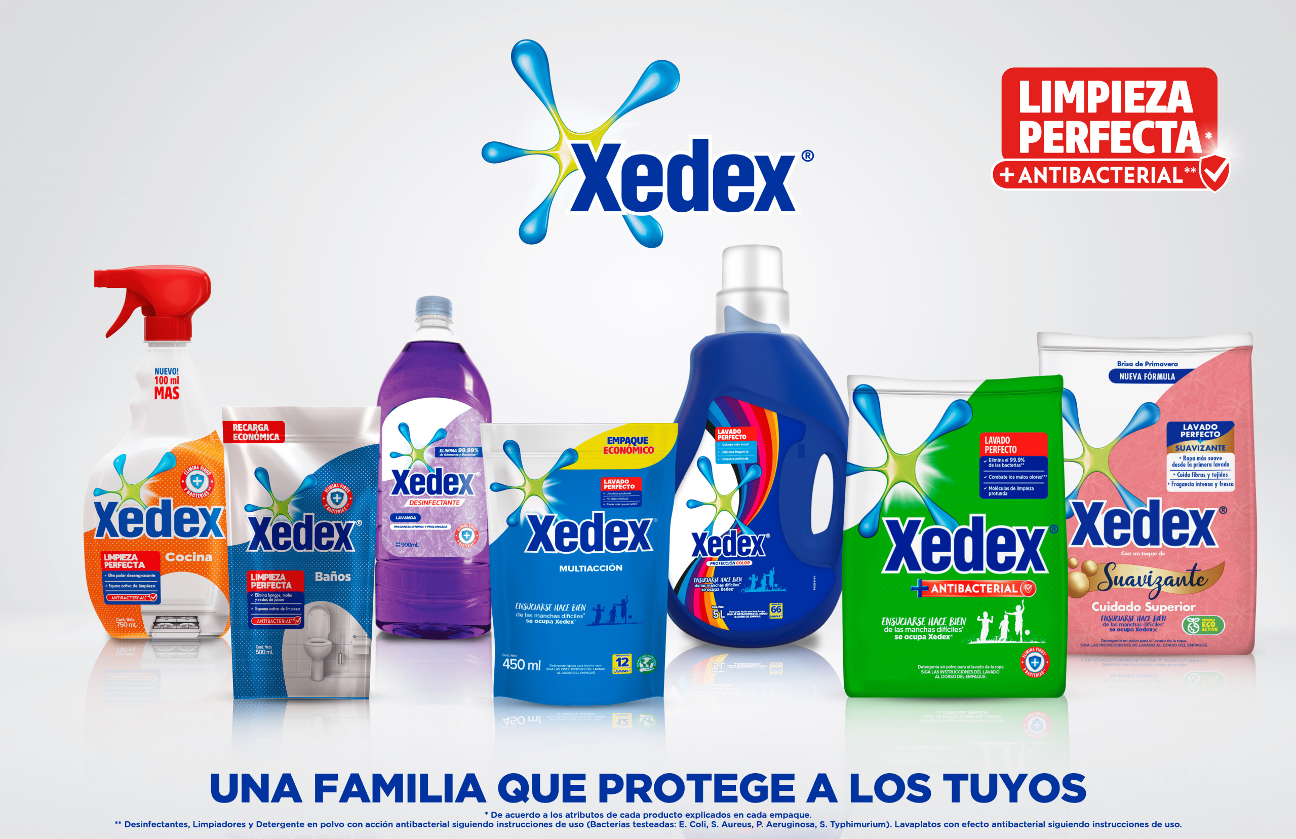 NUESTROS PRODUCTOS | Xedex