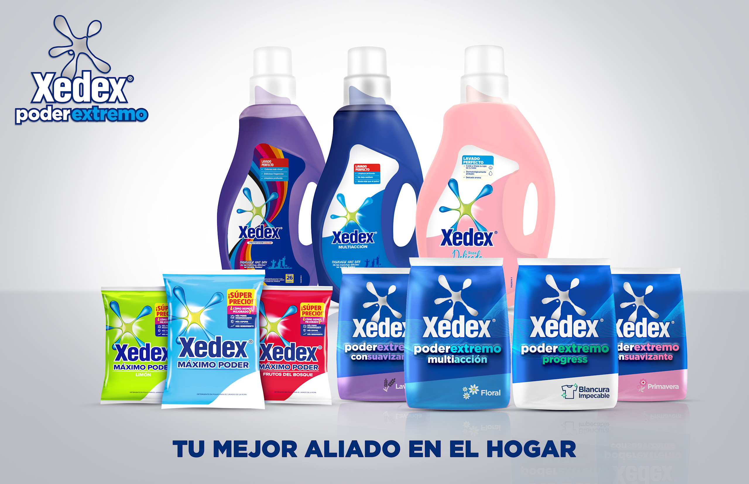 NUESTROS PRODUCTOS | Xedex