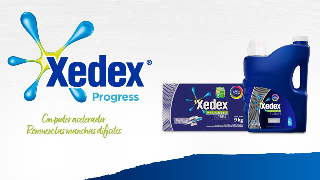 Xedex Progress | Xedex